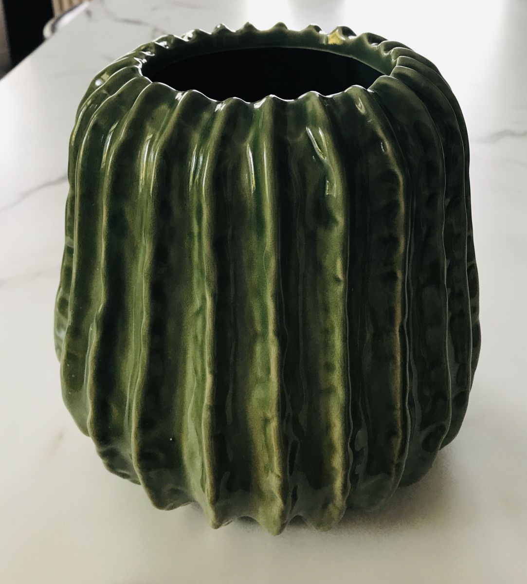 Vase cactus – Luckyfind